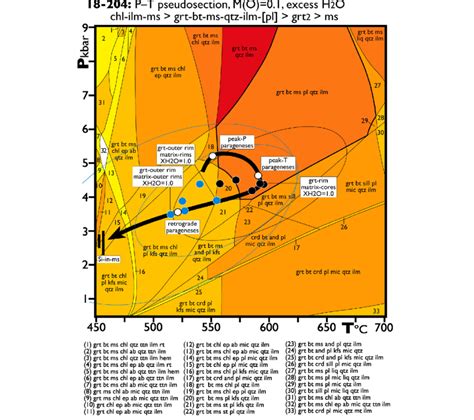 Nckfmashto P T Pseudosection For Metapelite Sample 18 204 Calculated Download Scientific