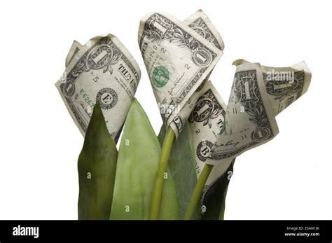 Monet Doesn T Grown On Trees Money Is A Flower Stock Photo Alamy