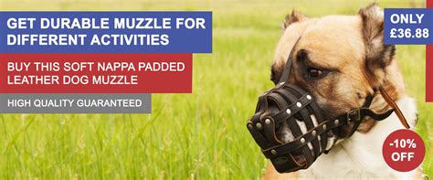 The Best Dog Muzzles Online Dog Muzzles For All Dog Breeds