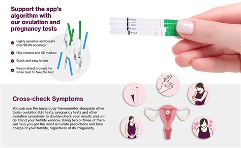 Natural Cycles 12 Month Subscription Digital Birth Control And Fertility