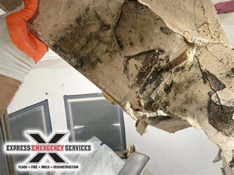 Property Damage Repair Professional Service