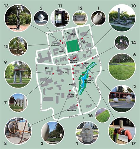 Guide Puts Public In Art Uc Davis