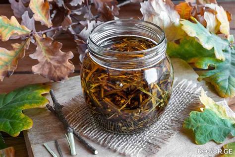 როგორ შევიჩეროთ თმის ცვენა და გავიუმჯობესოთ თმის ხარისხი მუხის ქერქის ნახარშის საშუალებით Rogor Ge