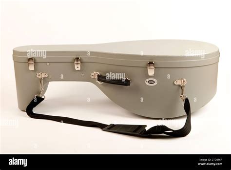 Egyptian Oud 11 String With Highly Decorated Soundholes String