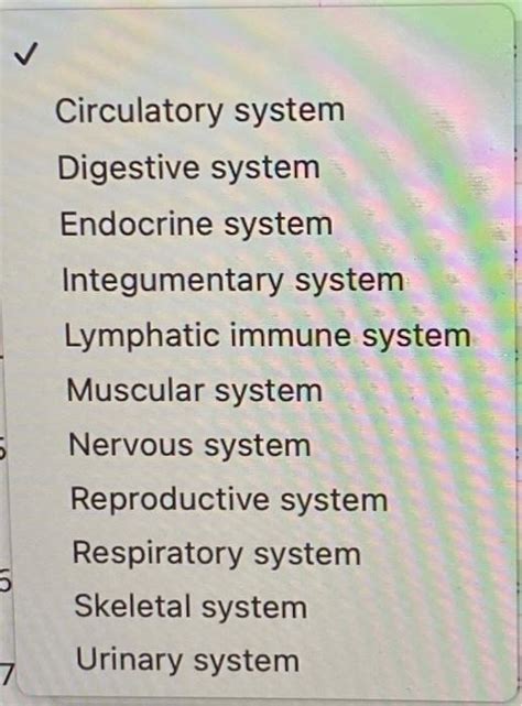 Solved Match The Organ System With The Correct Function Chegg
