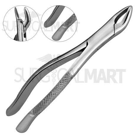 American Extracting Forceps No 62 Dental Tools Surgical Mart