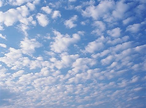 파란 하늘 높은 해상도 궁전 열 배경 일러스트 및 사진 무료 다운로드 Pngtree