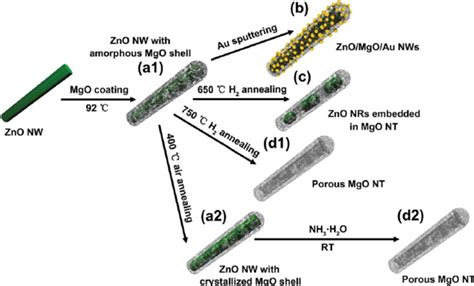 A Schematic Illustration Of The Various Products From Our Synthesis