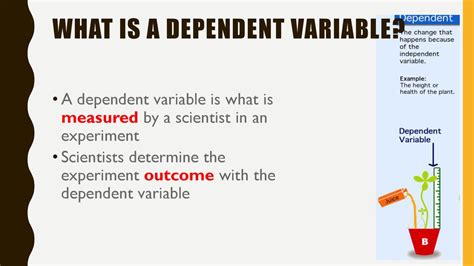 Variable Notes Ppt Download