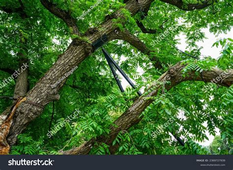 49 175 Imágenes Fotos De Stock Objetos En 3d Y Vectores Sobre Lean