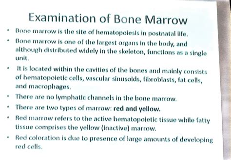 Examination Of Bone Marrowpdf