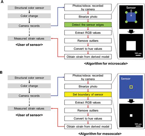 overall flowchart of the camera‐based sensing algorithm for a