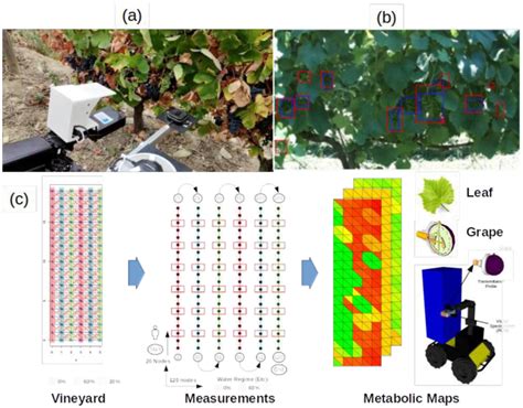 Autonomous Robotic Platform A Robotic Arm With Pom Camera And Download Scientific Diagram