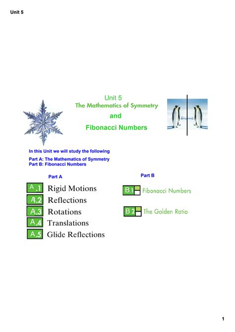 Solution Mathematics Of Symmetry And Fibonacci Numbers Studypool