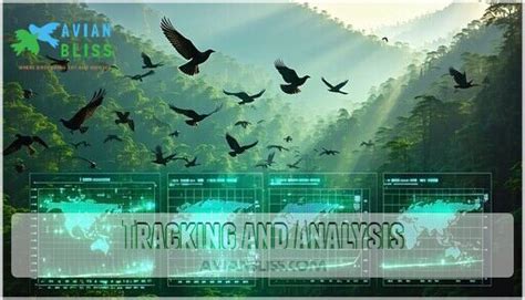 Bird Population Monitoring Essential Methods And Conservation Impact