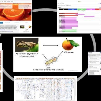 An Open Access Web Portal For The Three Components