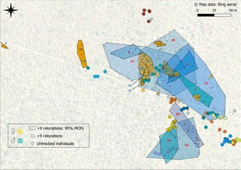 Sex Specific Movement Ecology Of The Shortest Lived Tetrapod During The