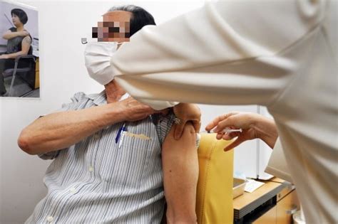 오미크론 대응 모더나 개량 백신 도착내달 접종 시작 한국경제