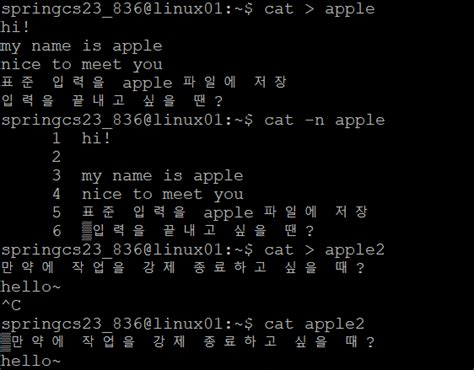 Linux Command With Putty