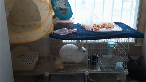 밤새 쁘니는 뭘했을까ㅋㅋㅋ10시간 촬영 Youtube