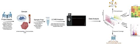 Msbio Shotgunproteomics