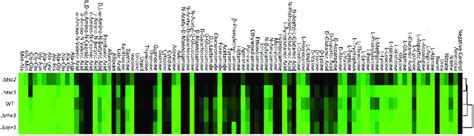 Comparative Nitrogen Source Utilization Profiles Of T Atroviride