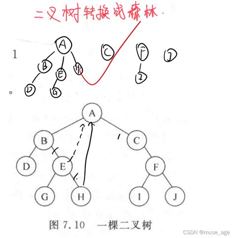 【数据结构和算法笔记】二叉树和树森林的相互转换abdefkgchij转换成的森林 Csdn博客