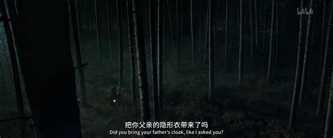 哈利·波特与火焰杯精彩看点 2 电影 高清正版在线观看 Bilibili 哔哩哔哩