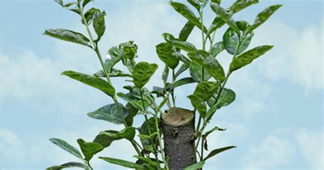 Michael Boran Biography Shows Articles And More Artsy