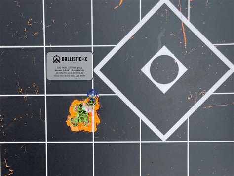 Howa Mini Action Review 2026