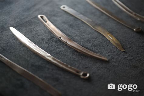 ФОТО Евразид маш ховорт тооцогдох Монголоос олдсон археологийн олдворуудыг дэлгэлээ