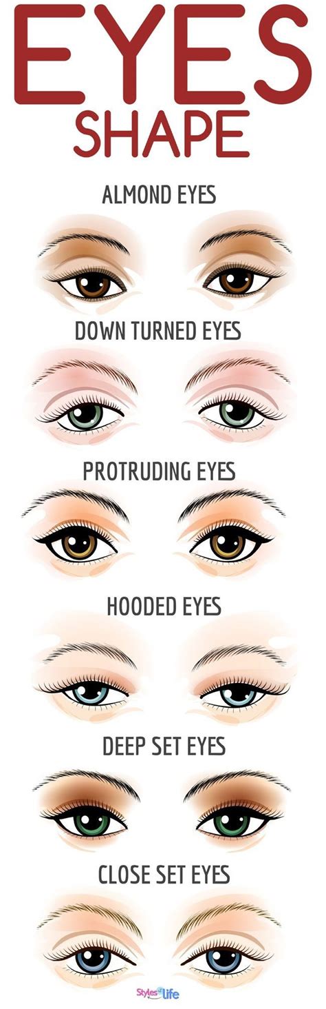 Types Of Eyelids 9 Different Shapes Of Eyes And Their Names Eye