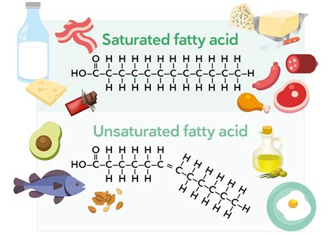 A User Guide To Saturated Fat Diet Doctor