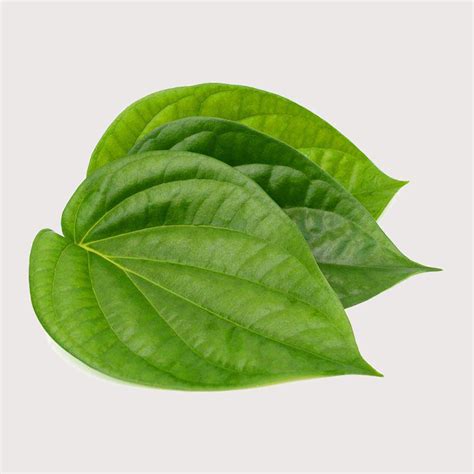 Green Beetel Leaf 5 For Essex