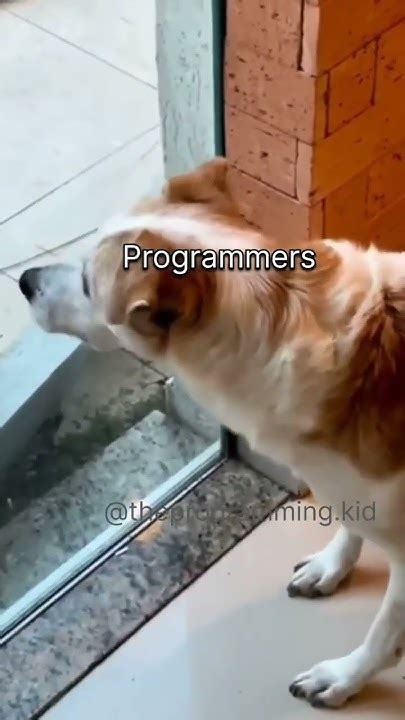 Ai Creation 😁 Coding Css Webdesign Webdesign Code Code Webdevelopment Tutorial