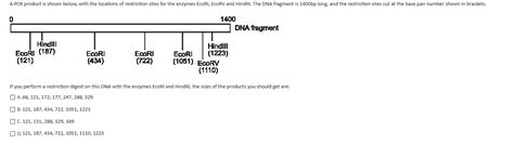 Solved If You Perform A Restriction Digest On This Dna With