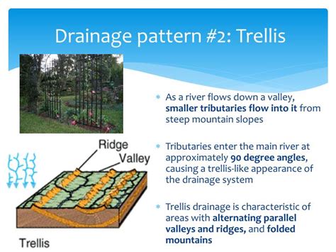 Define The Trellis Drainage Pattern At Alonso Wilson Blog