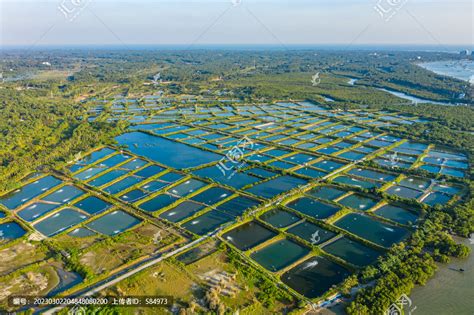 海南文昌东郊镇清澜湾养殖鱼塘 畜牧养殖 农林渔牧 摄影素材 汇图网www huitu