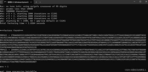 青少年CTF Crypto childRSA childrsa的flag CSDN博客