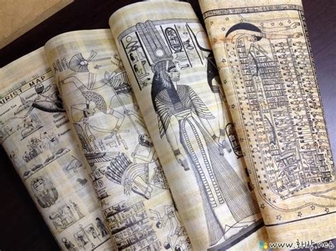 파피루스 종이2 파피루스 종이