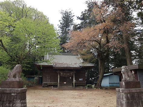 竹原神社の上溝桜と山桜 徒然草