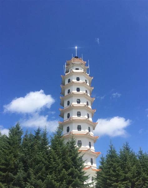 伊春天然氧吧之城會讓你因為一座城愛上一個人 每日頭條