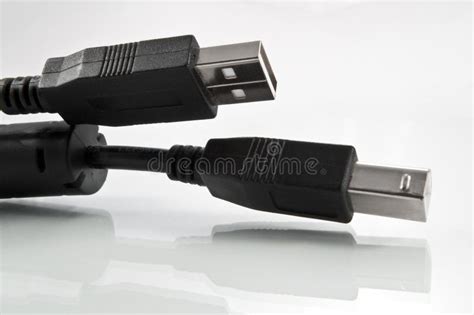 Universal Serial Bus Stock Photo Image Of Transfer Lead