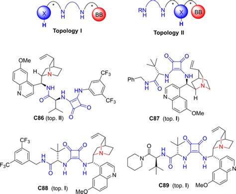 Progress In Thiourea‐ And Squaramide‐based Brønsted Base Catalysts With Multiple H‐bond Donors