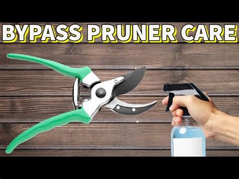 Arborist Tools And Equipment TreeCareHQ