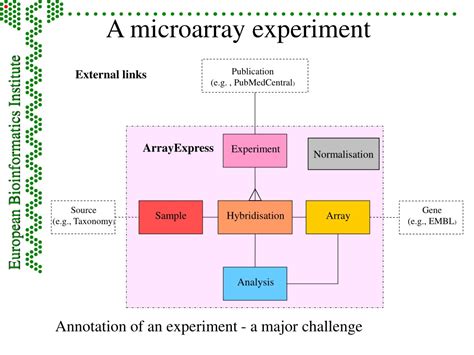 Ppt Miame Minimum Info For Microarray Experiments Powerpoint Presentation Id9468030