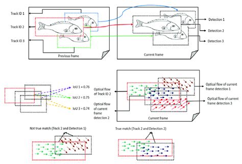 Limitations Of Iou Based Object Tracking Algorithm Under Multiple