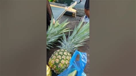 필리핀 파인애플 자르기 달인 Youtube