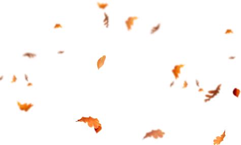 Best 12 Download Falling Leaves Png Images Flying Autumn Leaf Png [free] Artofit