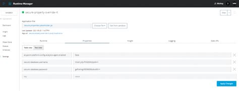 Override Secure Properties Using Runtime Manager